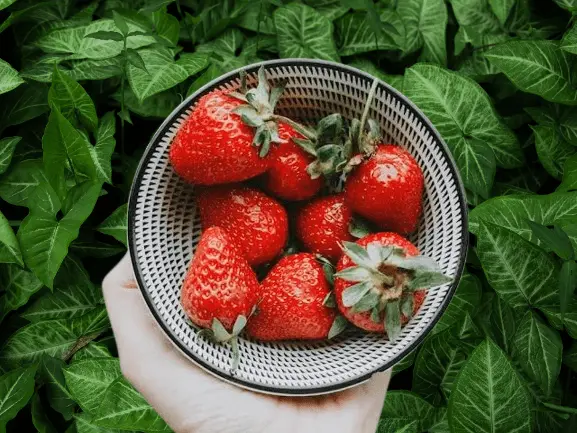 The Best Breakfast Foods - Healthline Signals